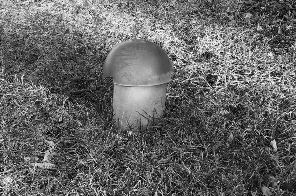 Protect your home from flooding with Building Traps - Leaside Emergency ...